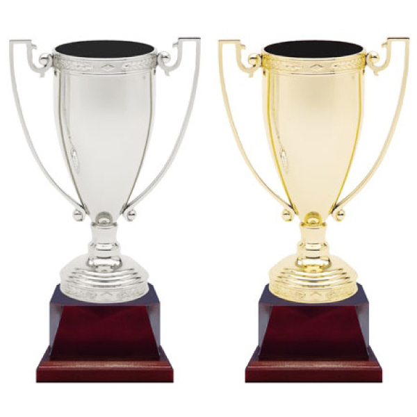 trophycup-loving cup | netTrophy