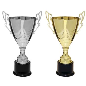 trophycup-phoenix cup | netTrophy