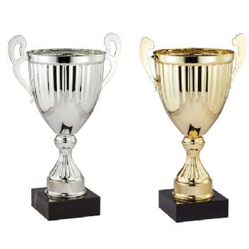 trophycup-spirit cup | netTrophy