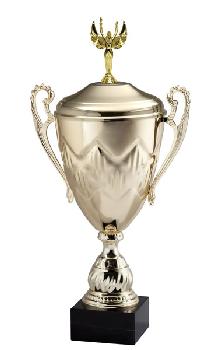 Sports Trophy Cups | Awards